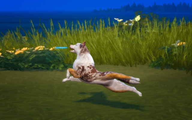 Sims 4 Custom Content - cloudninekennels