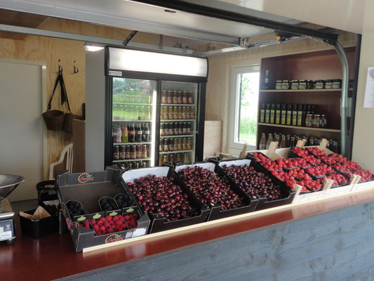 Kersenboomgaard 'de Themaat' - De website van oosteromkersen!