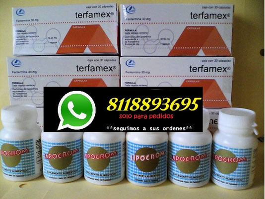 NEOBES - Página web de adelgazaredotex