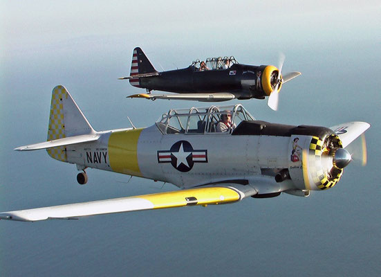 Formation Flight Photos - The Condor Squadron