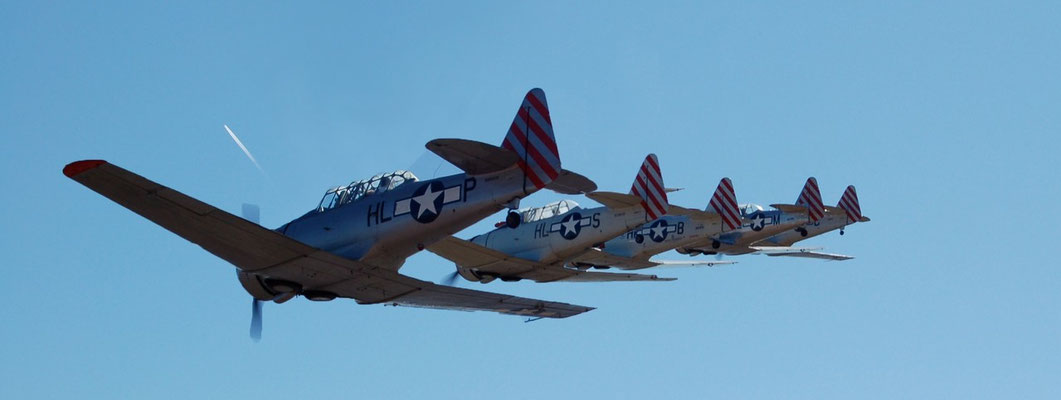 Formation Flight Photos - The Condor Squadron