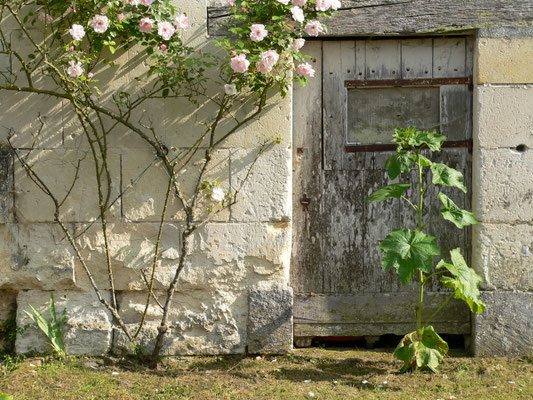 Bienvenue sur le site où vous pourrez découvrir tout ce que l'on peut ...