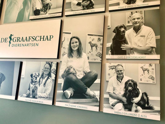 Inspiratie - Bloxit - innovatief wanddecoratie systeem