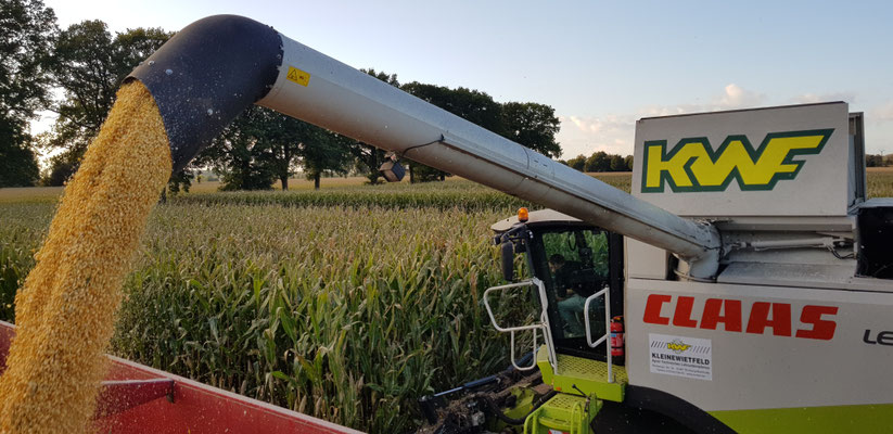 Corn-Cob-Mix-Ernte - Lohnunternehmen Kleinewietfeld
