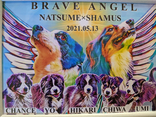 ★新着情報★ - brave-angel ページ！