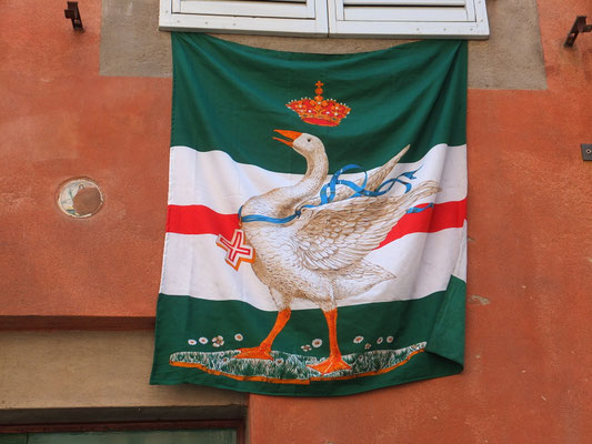 SIENA - S.CATERINA -CONTRADA DELL'OCA 2014 - FOTO DI SIENA e ALTRO.....!!!