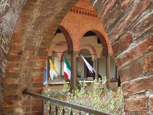 SIENA - S.CATERINA -CONTRADA DELL'OCA 2014 - FOTO DI SIENA e ALTRO.....!!!
