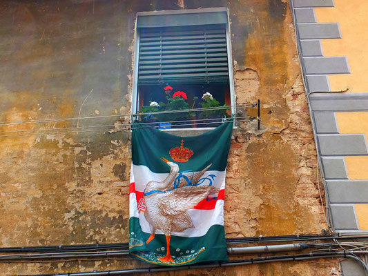 SIENA - S.CATERINA -CONTRADA DELL'OCA 2014 - FOTO DI SIENA e ALTRO.....!!!