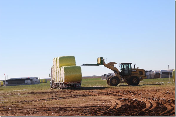 Round Cotton Module Handler, Wgt 2,600 - SM FAB