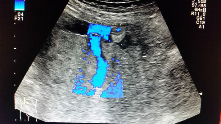 Sono-Story 44 - sono4students-stuttgarts Webseite!