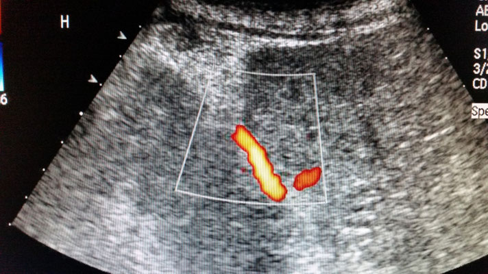 Sono-Story 44 - sono4students-stuttgarts Webseite!