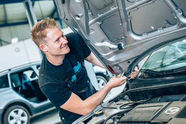 Karriere - minkgmbhs Webseite!