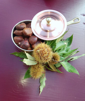 Marroni Zauber | Marronistand mieten | Outdoor Marroni-Catering ...