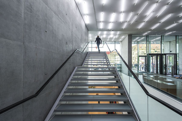 Verein - aed e.V. Stuttgart