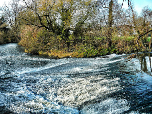 Der schönste Fluss in unserer Heimat - ig-kinzig