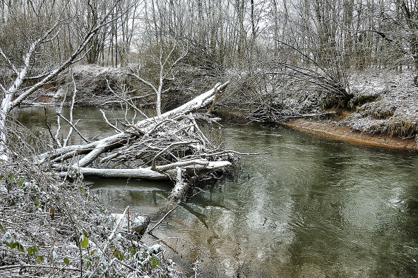 Der schönste Fluss in unserer Heimat - ig-kinzig