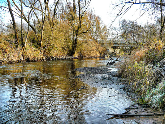 Der schönste Fluss in unserer Heimat - ig-kinzig