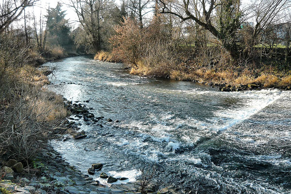 Der schönste Fluss in unserer Heimat - ig-kinzig