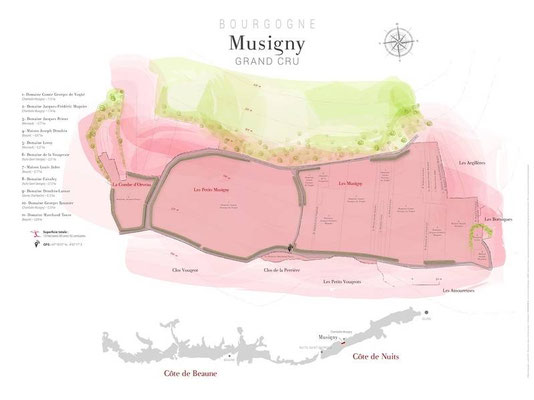 Parcel wall maps of Montrachet, Chambertin, Romanée-Conti, Clos Vougeot ...