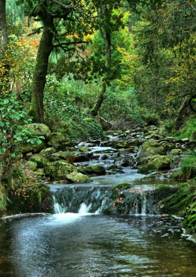 Sustainable tourism in Waimes, Belgium - Europe's Best Destinations