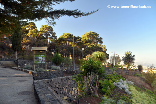 Parque El Pinar - La Victoria - Reiseführer Teneriffa