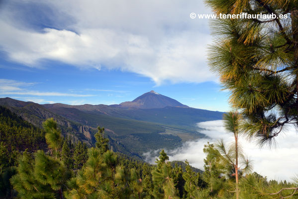 Mirador de Chipeque - Reiseführer Teneriffa