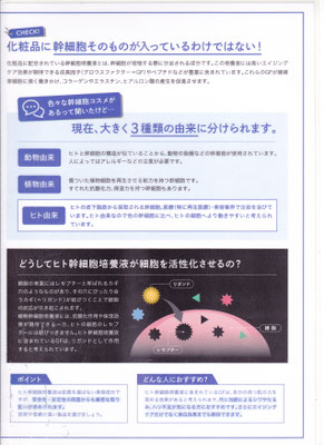 ヘア&フェイスサロン - mode‐hairsalon ページ! ヘア&フェイスサロン - mode‐hairsalon ページ!