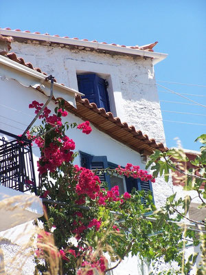 - Eté 2004 : la Grèce - escapades