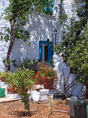 - Eté 2004 : la Grèce - escapades