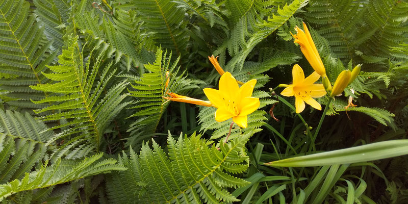 内部研修 - nign-japan ページ！