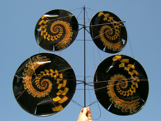 Gallery - kinetic-art-kites