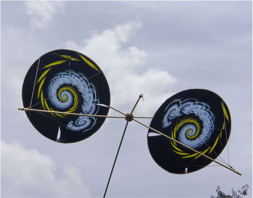 Gallery - kinetic-art-kites
