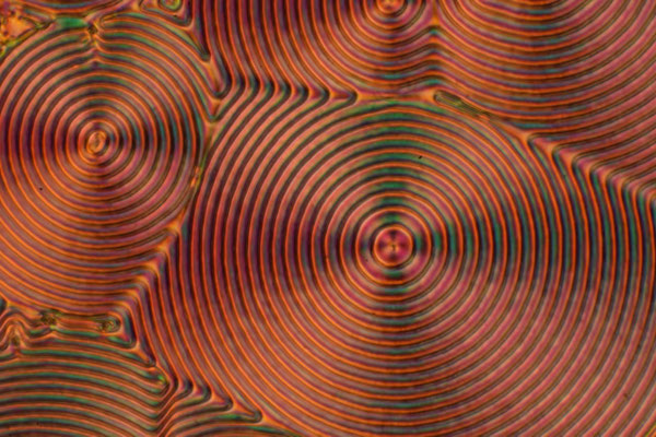 HOME - Satoshi Aya Soft Matter Lab. @Guangzhou