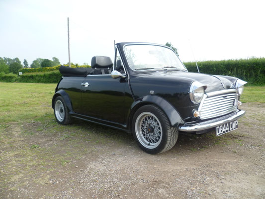 Dagmar & Ian - Lamm-Cabrio.de