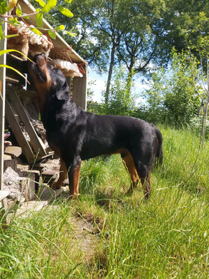 Snuffeltuin vinden - De website van snuffeltuinen!