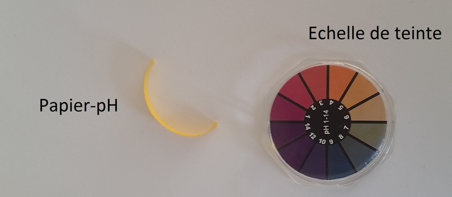 Acides, bases et pH - Site de salle321