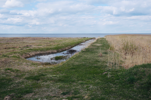 Peipussee - baltikum-by-bikes Webseite!