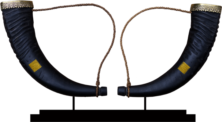 Press kit - Site de patrickkersale