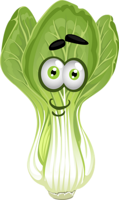 légumes - chou chinois - Site de legumes-bl01
