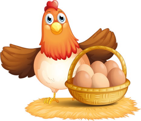 animaux domestiques - poule - Site de animaux-domestiques-aq01