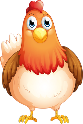 animaux domestiques - poule - Site de animaux-domestiques-aq01