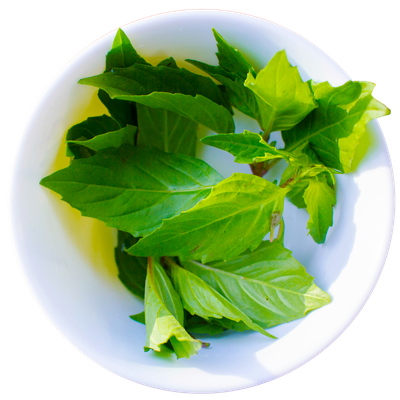 PHỞ NOODLE SOUP - Pho Hoa Noodle Soup