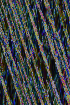 HOME - Satoshi Aya Soft Matter Lab. @Guangzhou