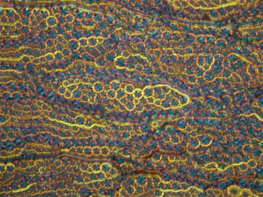 HOME - Satoshi Aya Soft Matter Lab. @Guangzhou