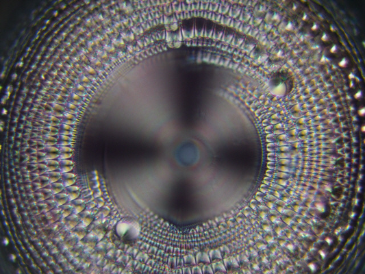 HOME - Satoshi Aya Soft Matter Lab. @Guangzhou