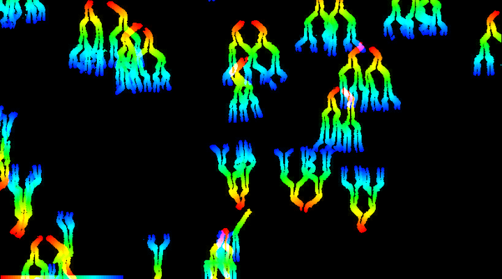 HOME - Satoshi Aya Soft Matter Lab. @Guangzhou