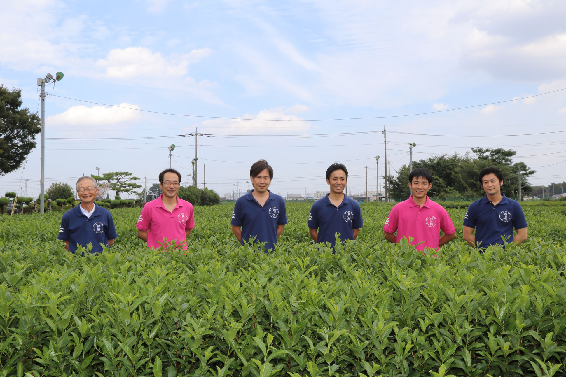 The Origin of Sayama-tea - Sayama Cha