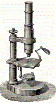 L'unité chimique et structurale du vivant - Site de cours de collège et ...
