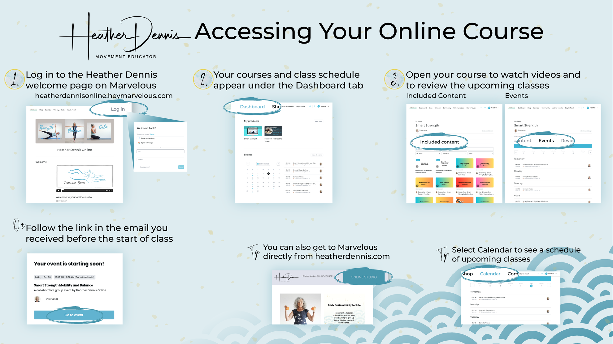 Infographic - Beeline