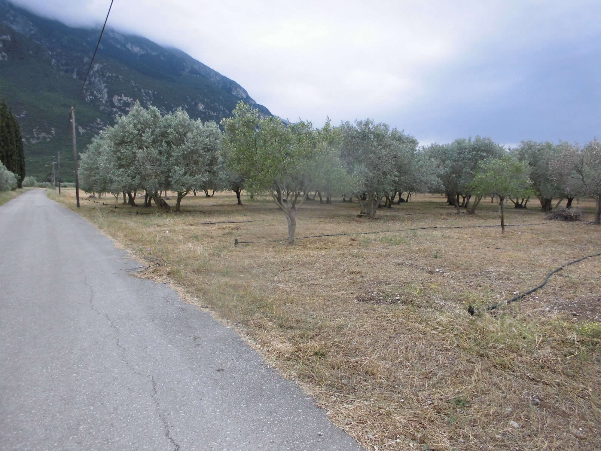 strabon, Géographie - Site de hypataromana